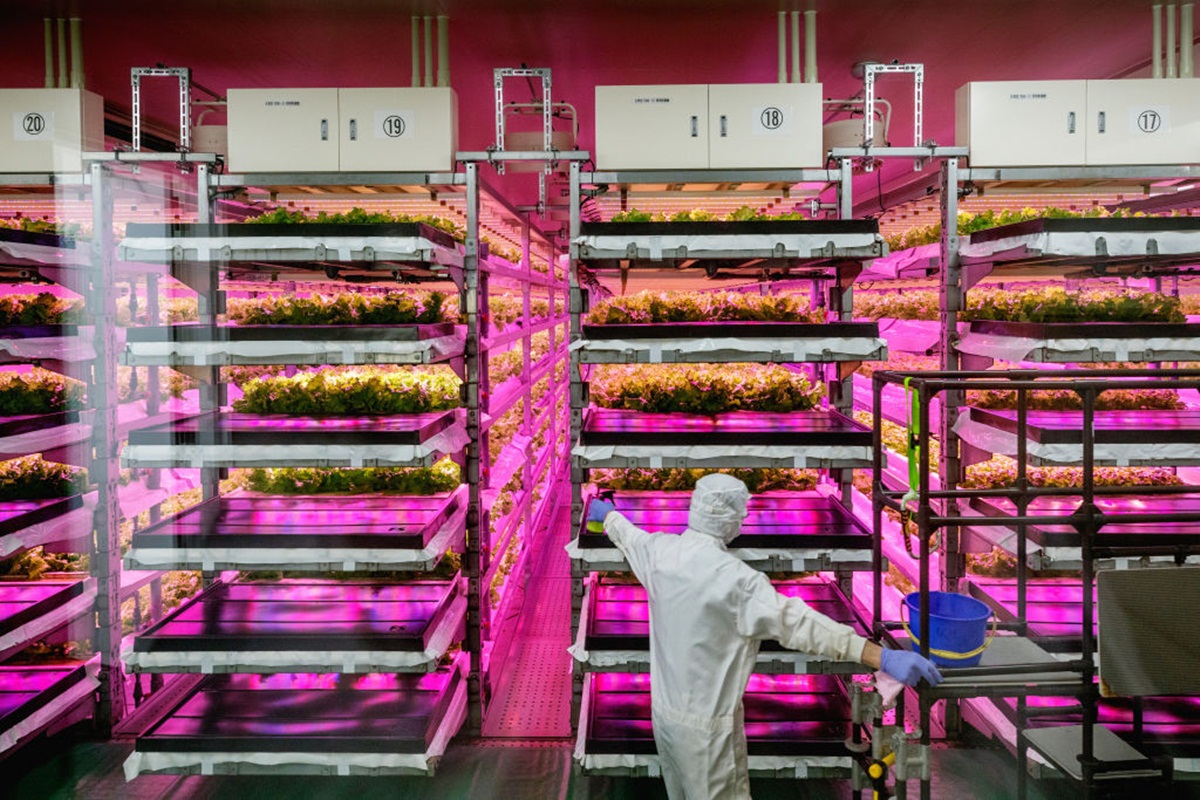 Jeff Bezos is támogatja Amerika legjobban finanszírozott vertikális ...