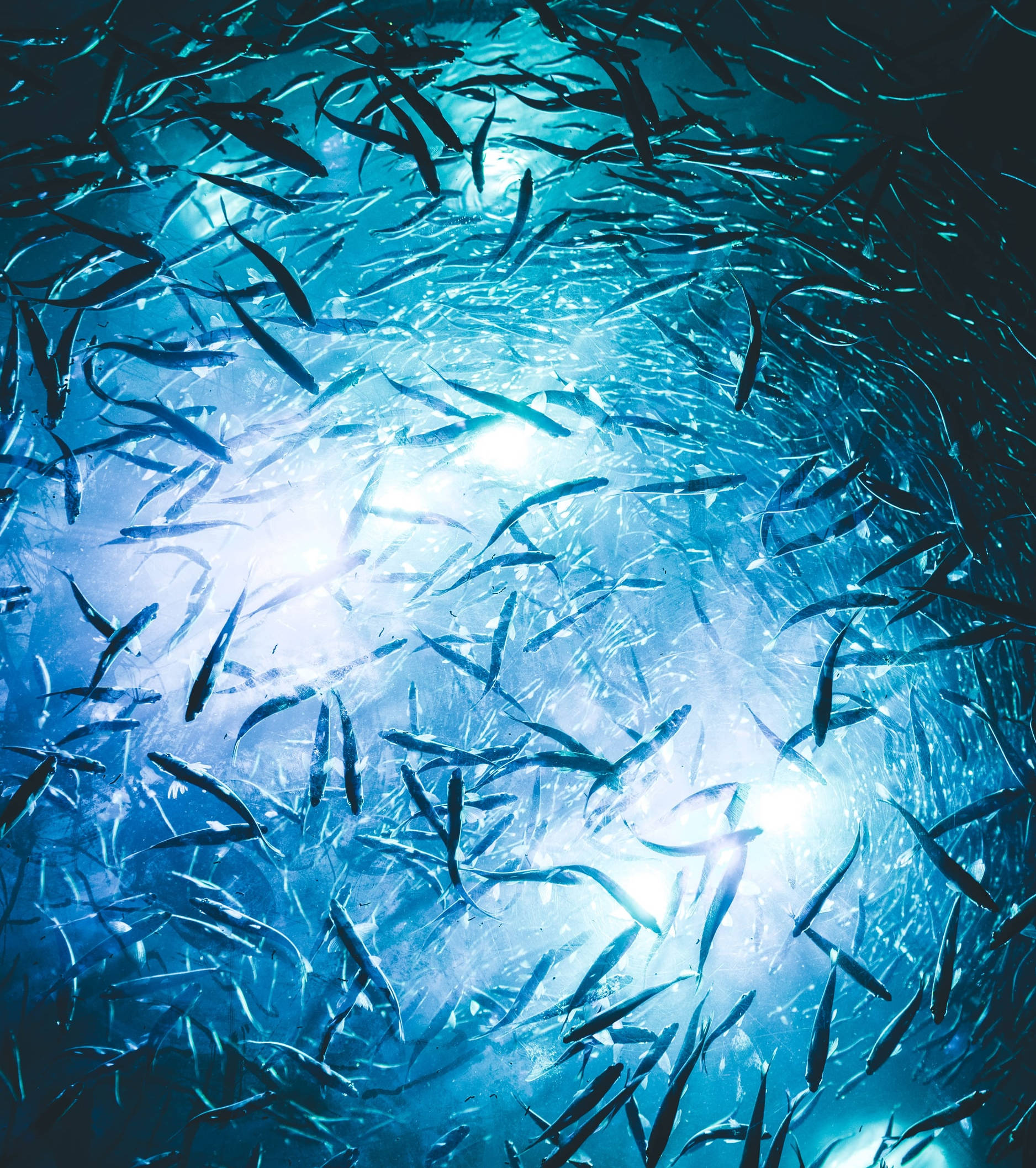 Az anyag új állapota a "swirlon", avagy örvény, megsérti Newton ...