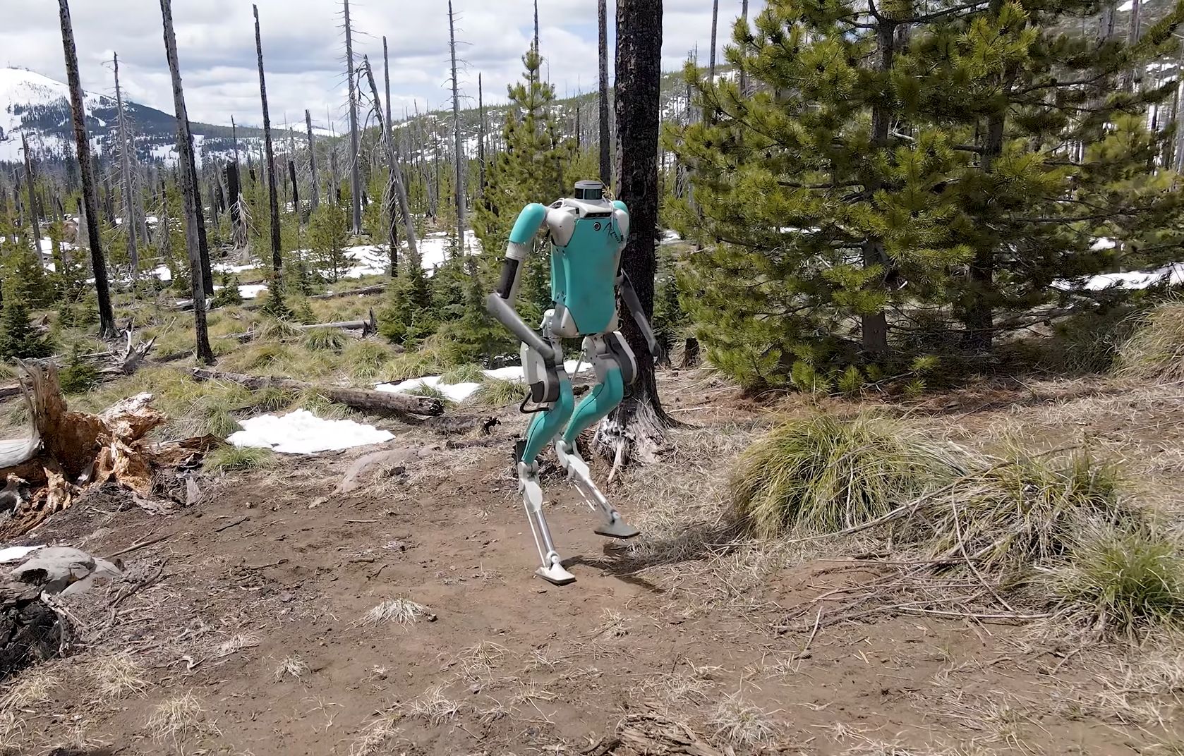 Így túrázik az oregoni hegyek között az Agility Robotics kétlábú ...